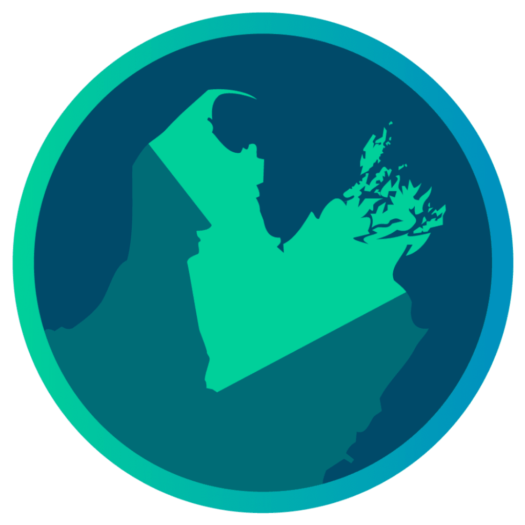 About us | Ko wai mātou - Te Kāhui Hauora Iwi Māori Partnership Board